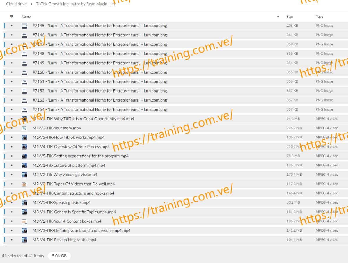 Download TikTok Growth Incubator by Ryan Magin Lurn Today